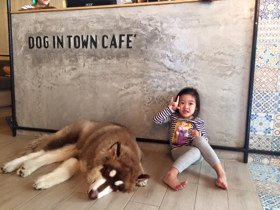 dog-in-town-shop-2 - Parents One