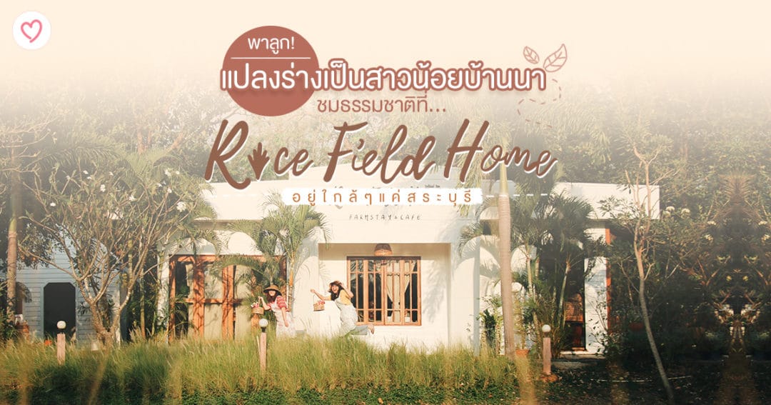 ชวนลูกแปรงร่างเป็นสาวน้อยบ้านนาชมธรรมชาติที่ Rice Field Home อยู่ใกล้ๆ ...