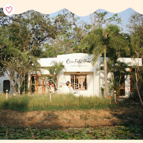 ชวนลูกแปรงร่างเป็นสาวน้อยบ้านนาชมธรรมชาติที่ Rice Field Home อยู่ใกล้ๆ ...